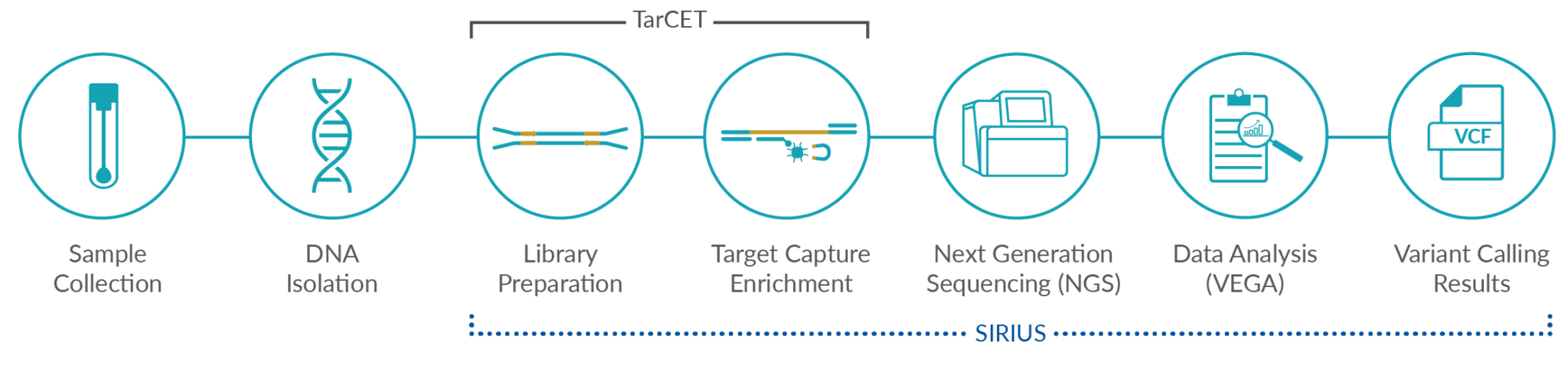 TarCET V2 RUO Kits | Medicover Genetics